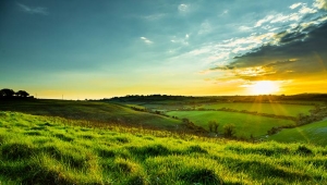 Top 10 Irish Blogs | Vuelio